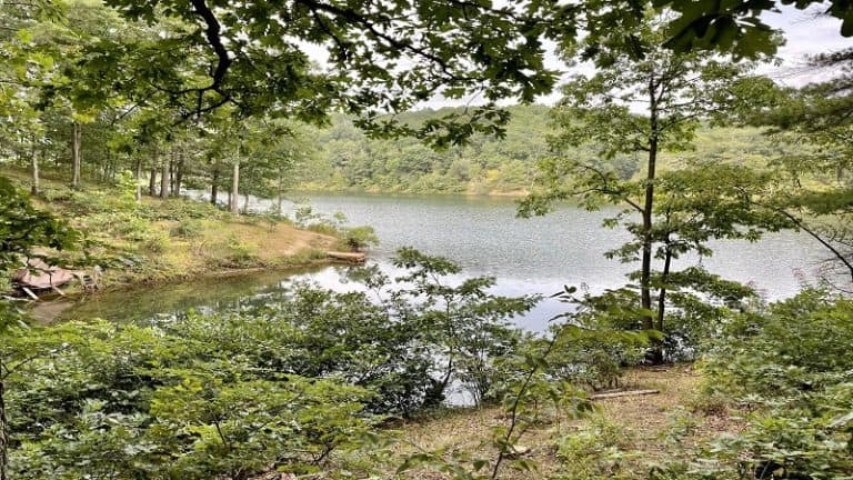 Lake Laura: A Refreshing Loop Hike Near Bryce Resort