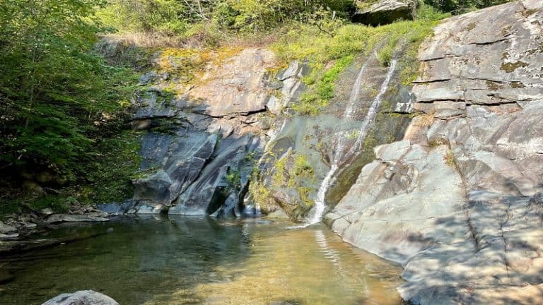 Sugar Hollow Reservoir: Moormans River Hikes (Blue Hole)