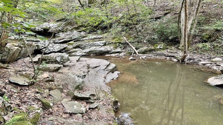 Sugar Hollow Reservoir: Moormans River Hikes (Blue Hole)