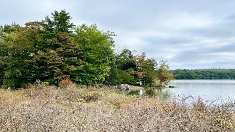 Beaverdam Reservoir: A Scenic Hike in Ashburn, Virginia