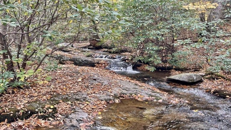 Crabtree Meadows: Two Easy Hikes Awe With Wide-Open Mountain Views