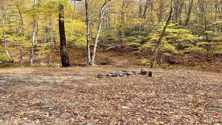 Crabtree Meadows: Two Easy Hikes Awe With Wide-Open Mountain Views