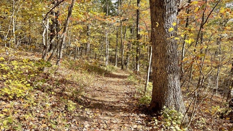 Crabtree Meadows: Two Easy Hikes Awe With Wide-Open Mountain Views