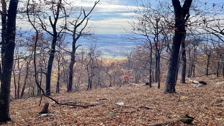 David Lesser Shelter: Appalachian Trail from Keys Gap