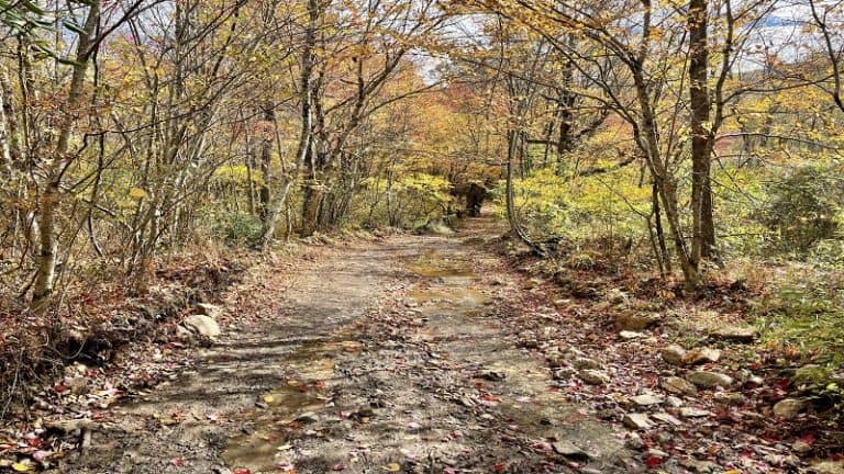 Crabtree Meadows: Two Easy Hikes Awe With Wide-Open Mountain Views