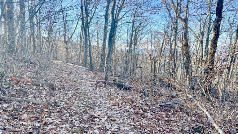 Riprap Trail: A Stunning Shenandoah Loop Hike