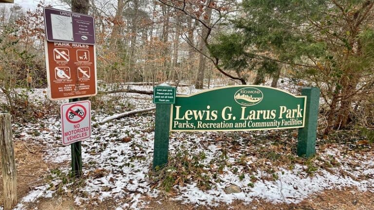 Larus Park: A Hidden Forested Hike in Richmond, Virginia
