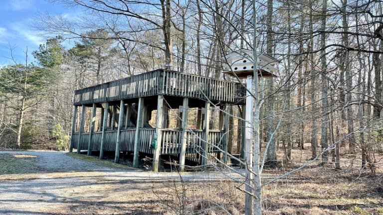 Sandy Bottom Nature Park: Kid-Friendly Hikes in Hampton