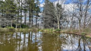 Elliott Knob: A Fire Tower Hike in Staunton, Virginia