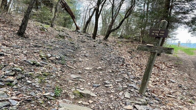 High Knob Fire Tower: Hike to 360-Degree Mountain Views