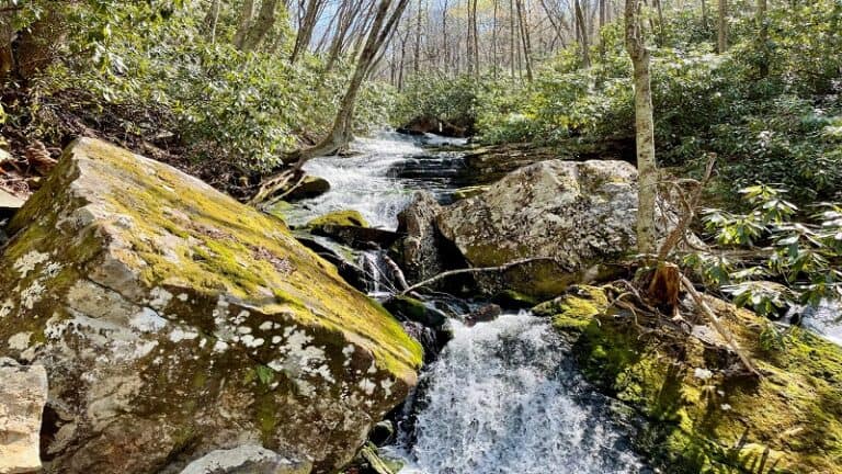 15 Best Hikes Near Blacksburg, Virginia