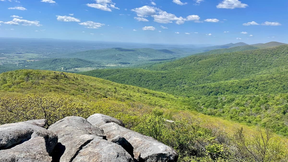 Terrapin Mountain: Hike to Big Views in Big Island, Virginia