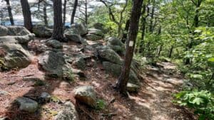 Hay Rock Hike: An Appalachian Trail Hike at Carvins Cove
