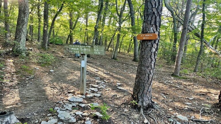 McAfee Knob: A Popular Hike on the Appalachian Trail