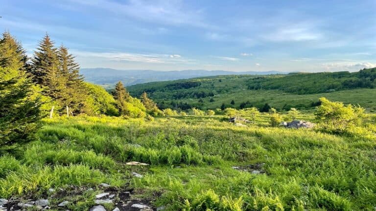 Mount Rogers: Hike to the Top of Virginia’s Highest Peak