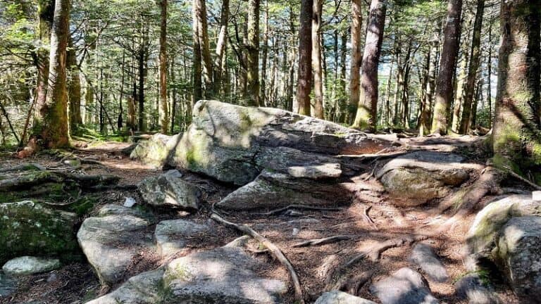Mount Rogers: Hike to the Top of Virginia’s Highest Peak
