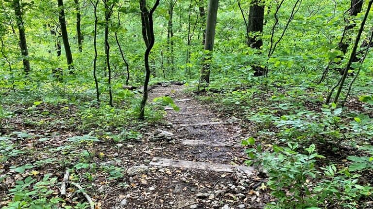 Tinker Cliffs: Hike the Andy Layne Trail in Virginia
