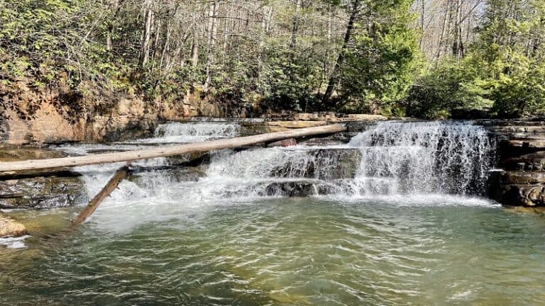 18 Best Swimming Holes in Virginia for a Summer Swim