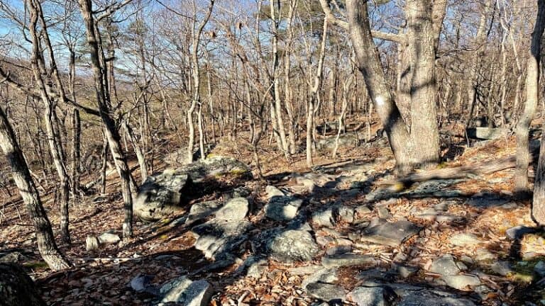 Rod Hollow Shelter: Appalachian Trail Hike at Ashby Hollow