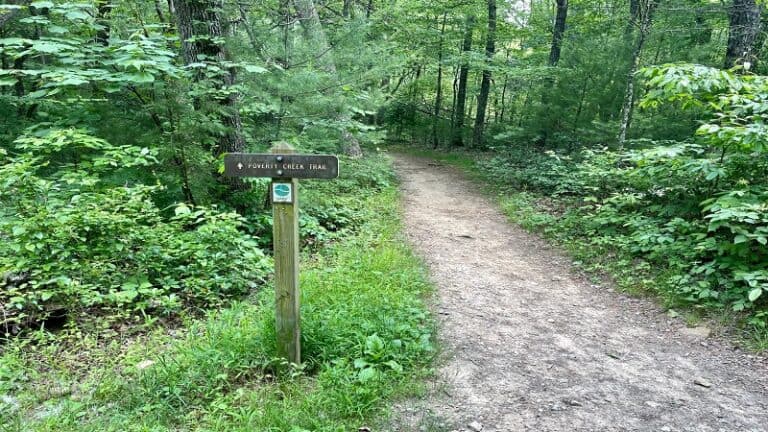 Pandapas Pond: Scenic Trails in Blacksburg, Virginia