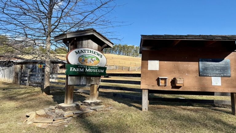 Grayson County's Gems: Matthews State Forest & Farm Museum