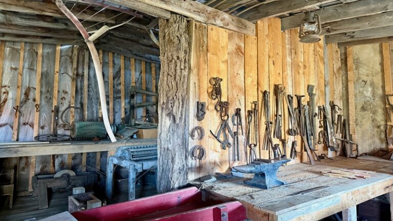 Grayson County's Gems: Matthews State Forest & Farm Museum