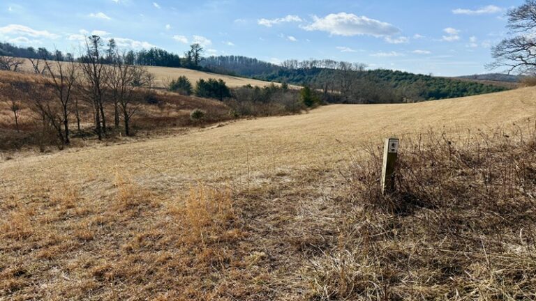 Grayson County's Gems: Matthews State Forest & Farm Museum